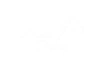 Rehactivequine | Massages Équins Sud-est